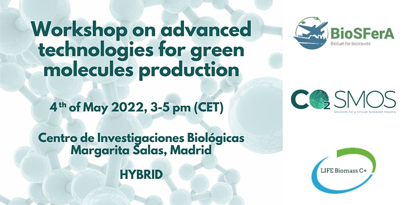 Workshop “On advanced technologies for green molecules production ...