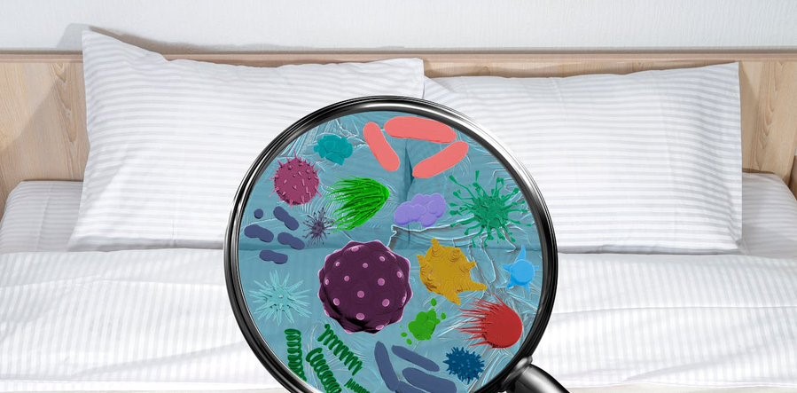 Microbios en la cama y hongos en la radio - Sociedad Española de ...