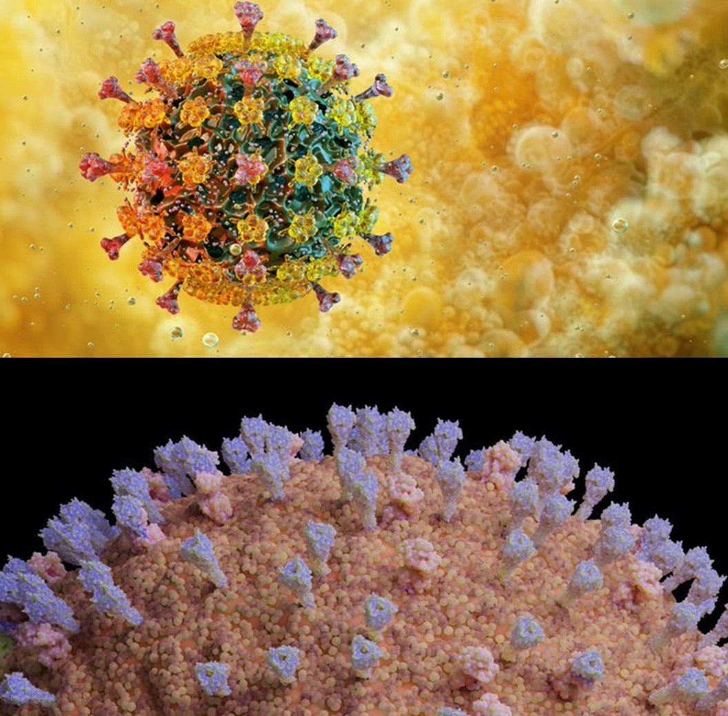 Artículos sobre el metapneumovirus y el virus H5N1 en The Conversation ...