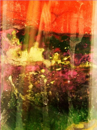 El orden del caos - Sociedad Española de Microbiología